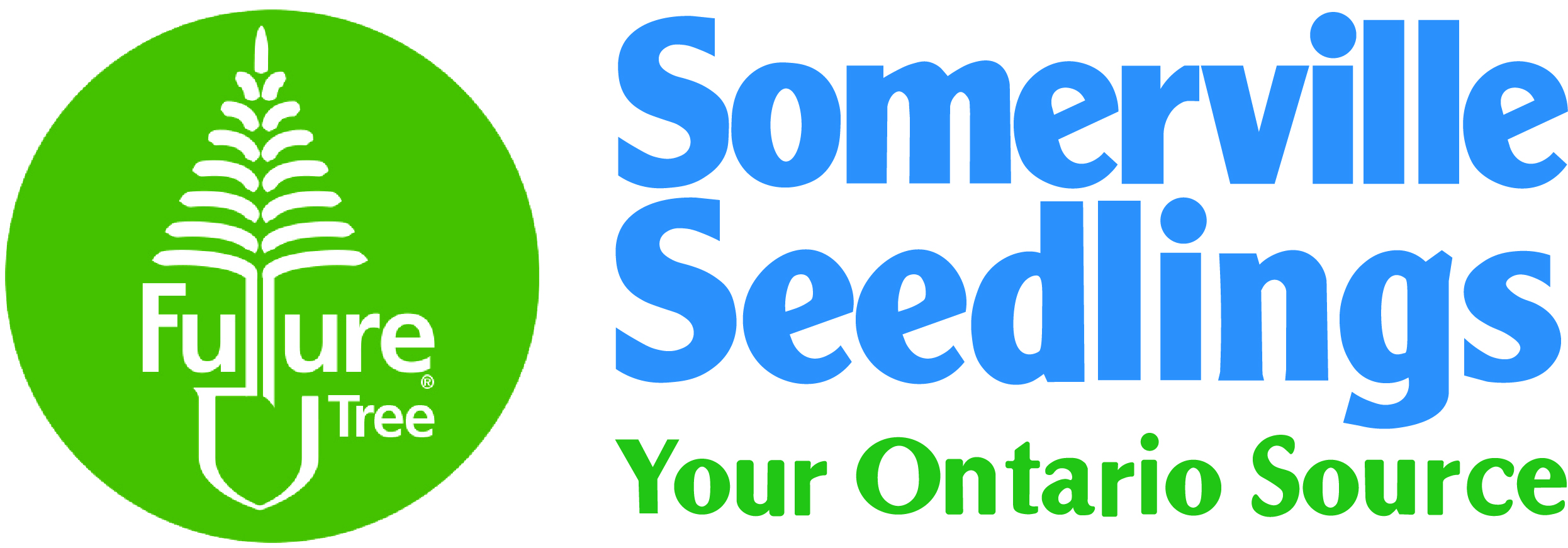 SomervilleSeedlings-NEW LOGO - FGCA