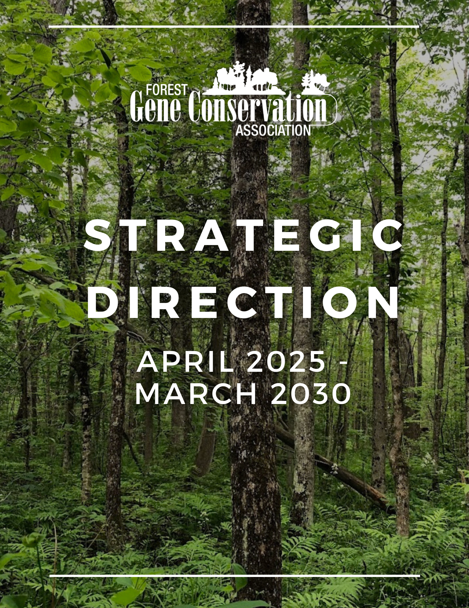 Strat Plan Doc for Website - FGCA